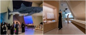 National Museum of Qatar: Entry Fee, Location and Opening Hour