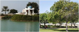 Top 8 Sohar Tourist Attractions that You Cannot Miss