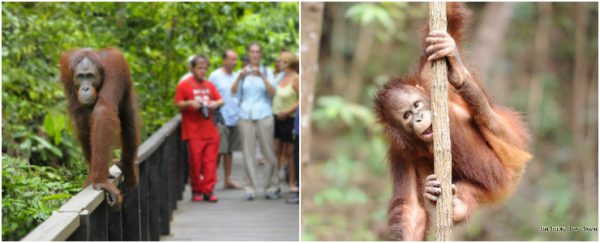 Discover Sabah, Malaysia: Top Places to Visit & Travel Guide